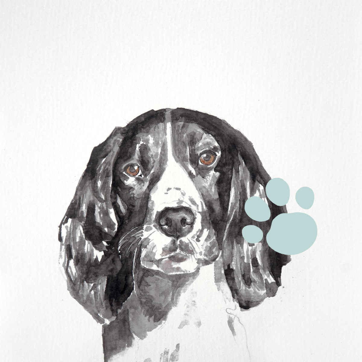 Pet Portraits – Annabelle Davis